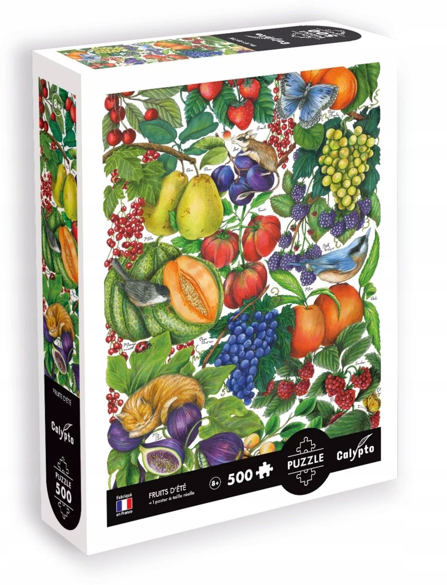 Puzzle 500 elementów Letnie Owoce Calypto - Calypto | Sklep EMPIK.COM
