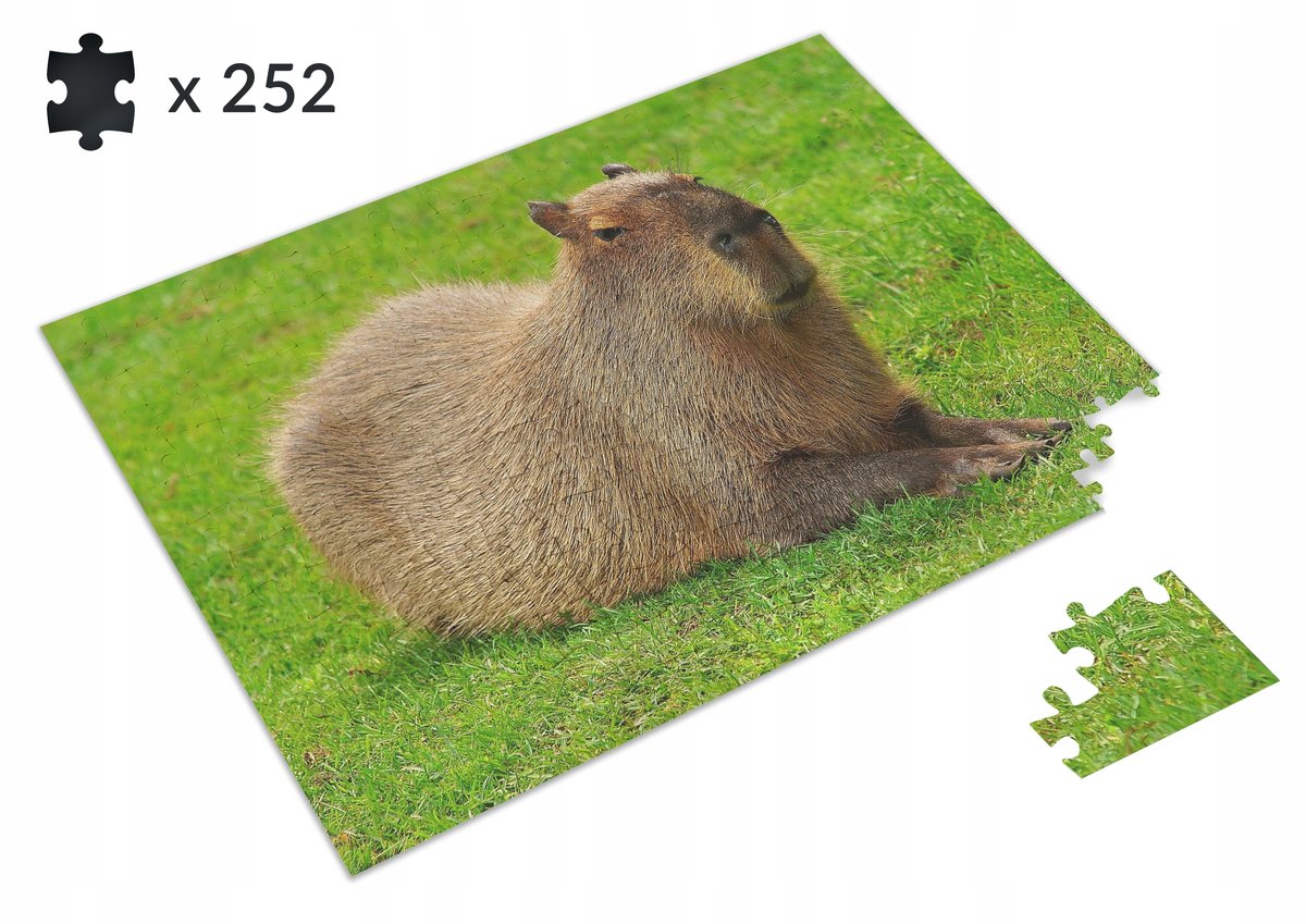 Puzzle KAPIBARA Prezent + IMIĘ w prezencie A4 120e. #4 - Atram | Sklep EMPIK.COM