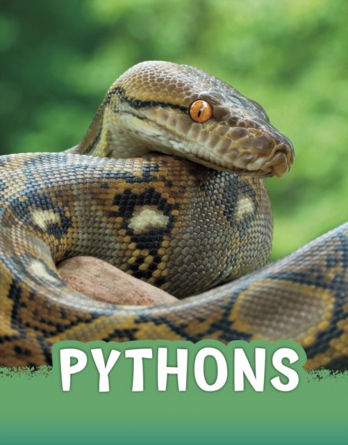 Pythons - Martha E. Rustad | Książka w Empik
