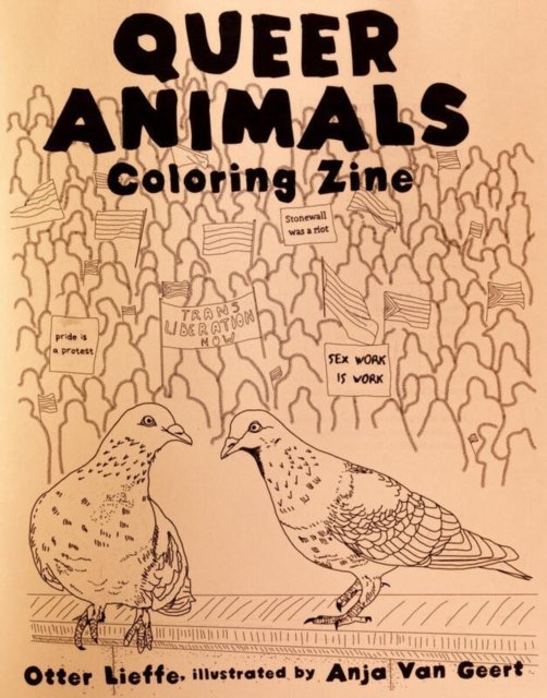 Queer Animals Coloring Book - Amy Subach | Książka w Empik