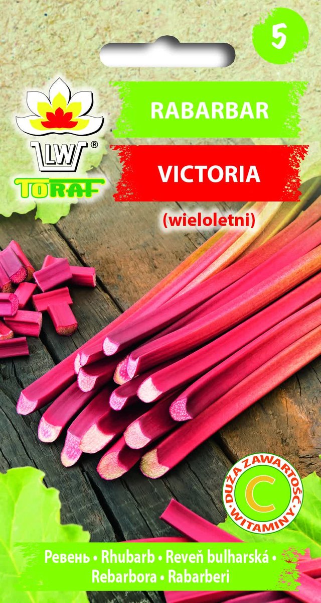 Rabarbar VICTORIA Rheum rhabarbarum L. - Toraf | Sklep EMPIK.COM