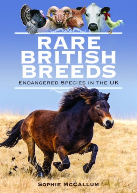 Rare British Breeds: Endangered Species in the UK - Sophie McCallum ...