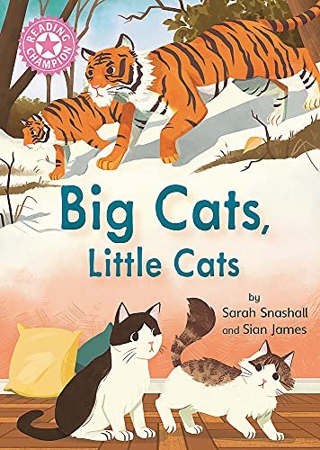 Reading Champion: Big Cats, Little Cats: Independent Reading Pink 1B ...