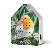 Relaxound - Domek dźwiękowy z odgłosami ptaków Zwitscherbox - robin ...