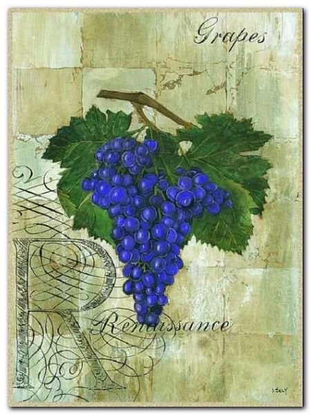 Renaissance Grapes Plakat Obraz 30X40Cm - Wizard+Genius | Sklep EMPIK.COM
