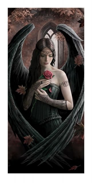 Reprodukcja PYRAMID POSTERS Anne Stokes (Angel Rose), 50x100 cm ...
