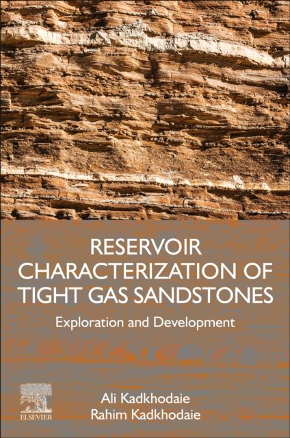 Reservoir Characterization of Tight Gas Sandstones: Exploration and ...