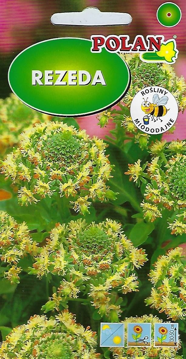 Rezeda wonna 2 g POLAN - Inna marka | Sklep EMPIK.COM