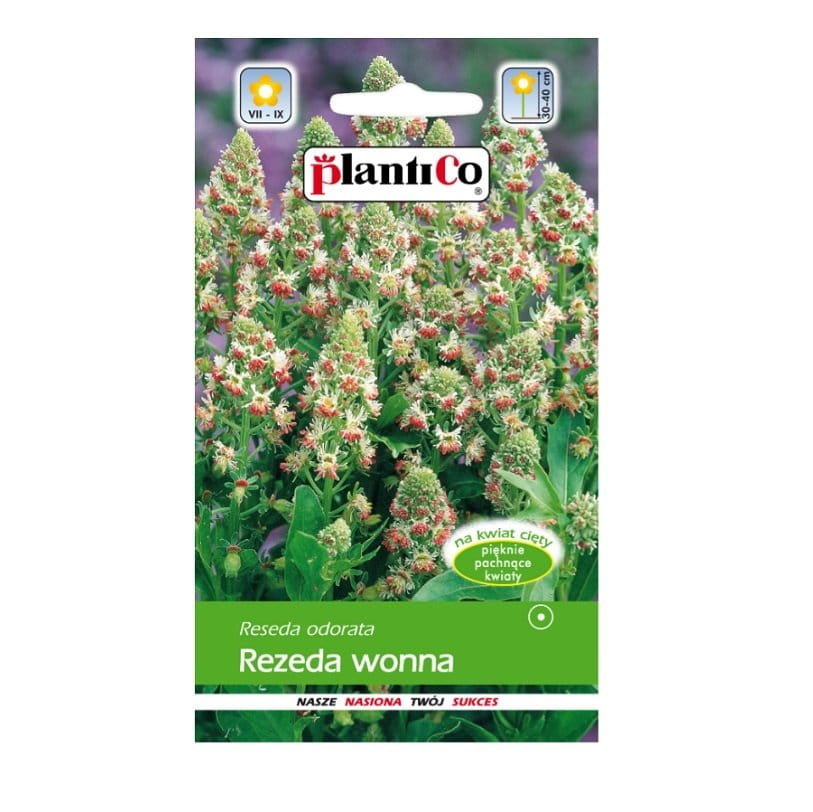REZEDA WONNA MIX nasiona kwiatów ozdobnych 2g - Inna marka | Sklep ...