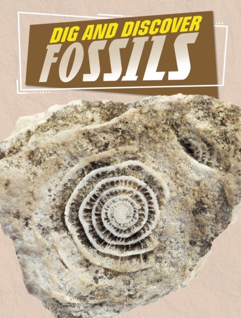 Rock Your World, Dig and Discover Fossils - Anita Nahta Amin | Książka ...