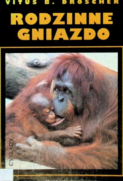 Rodzinne gniazdo: Jak zwierzęta pokazują swoje rodzinne gniazdo ...