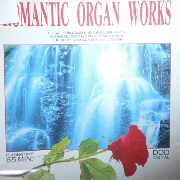 Romantic Organ Works - Saf.One | Muzyka Sklep EMPIK.COM