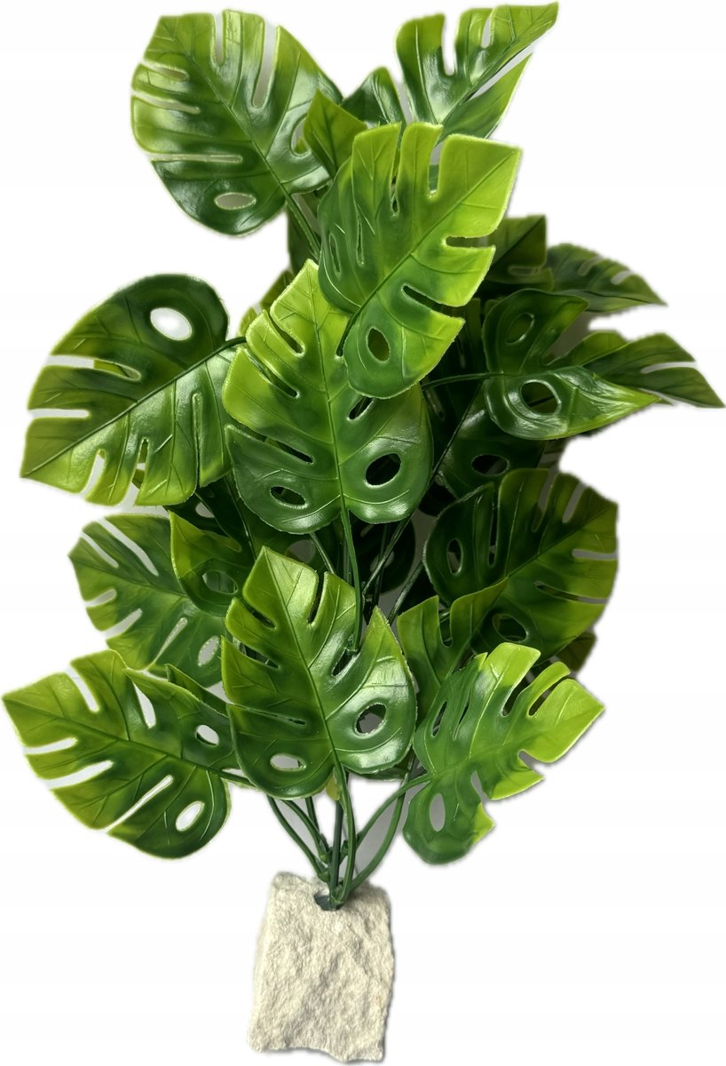 Roślina Do Akwarium Monstera Akwariowa Duża Sztuczna Wysoka 38Cm - inna ...