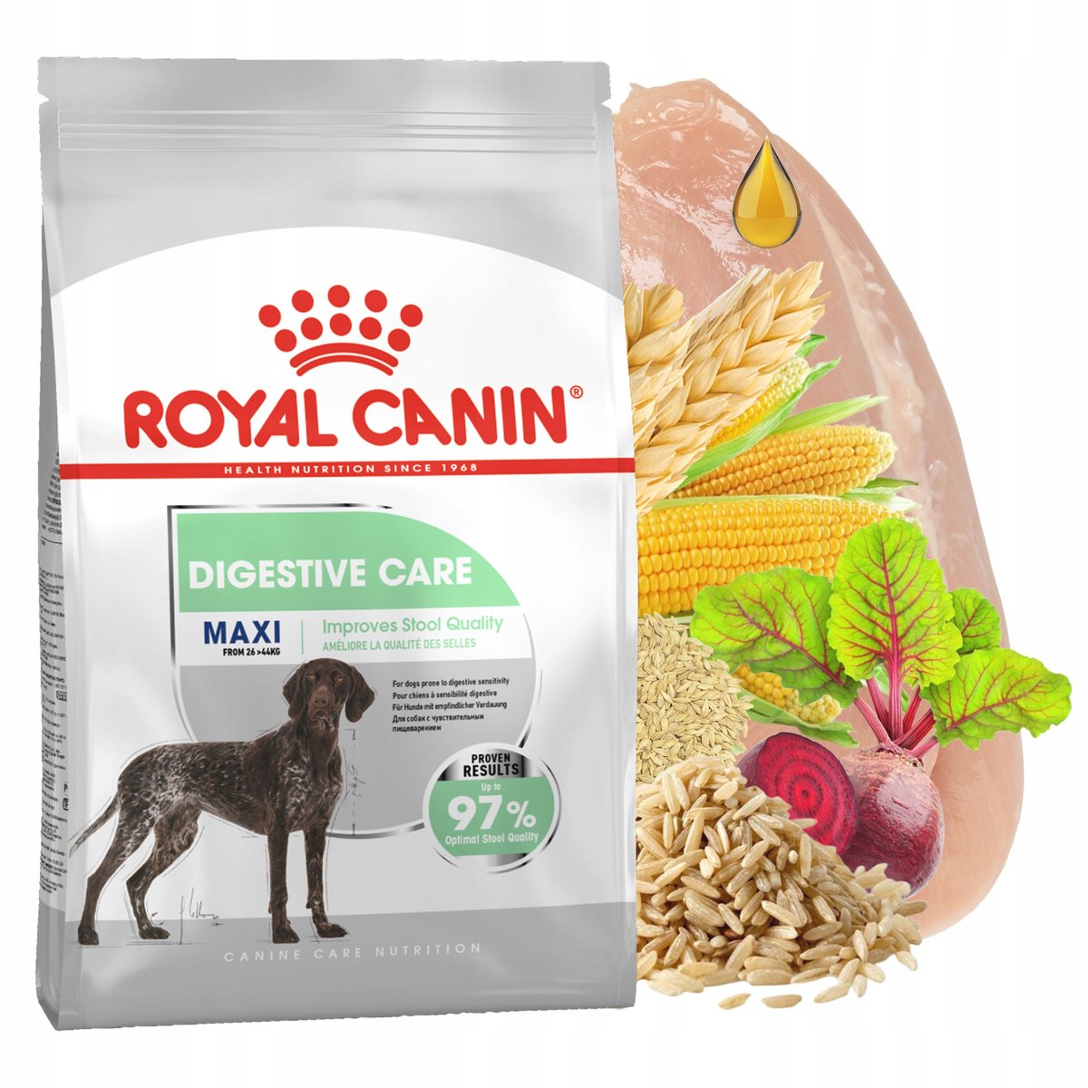 ROYAL CANIN CCN Maxi Digestive Care karma sucha dla psa 3 kg - Royal Canin | Sklep EMPIK.COM