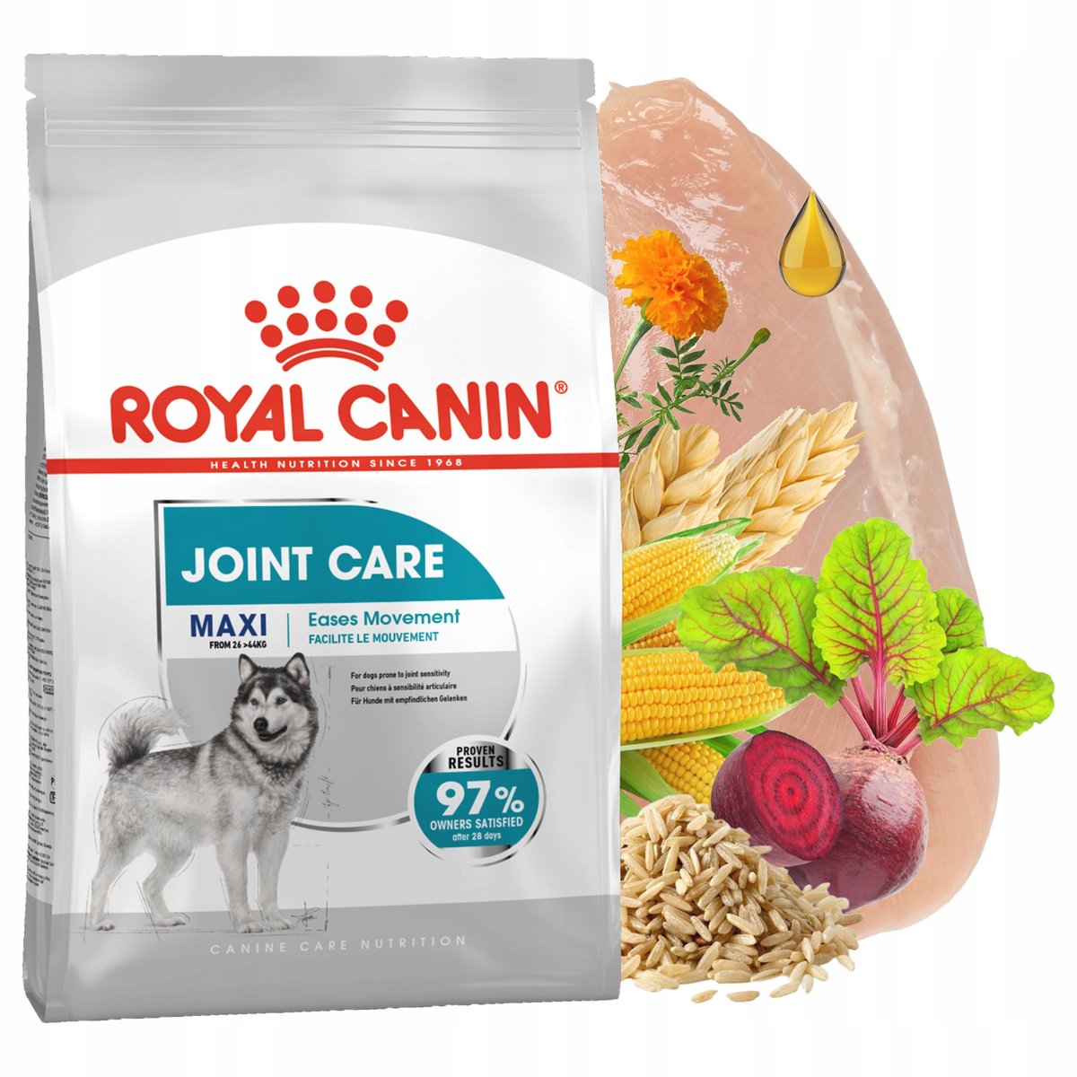 ROYAL CANIN CCN Maxi Joint Care karma sucha dla psa 10 kg - Royal Canin ...