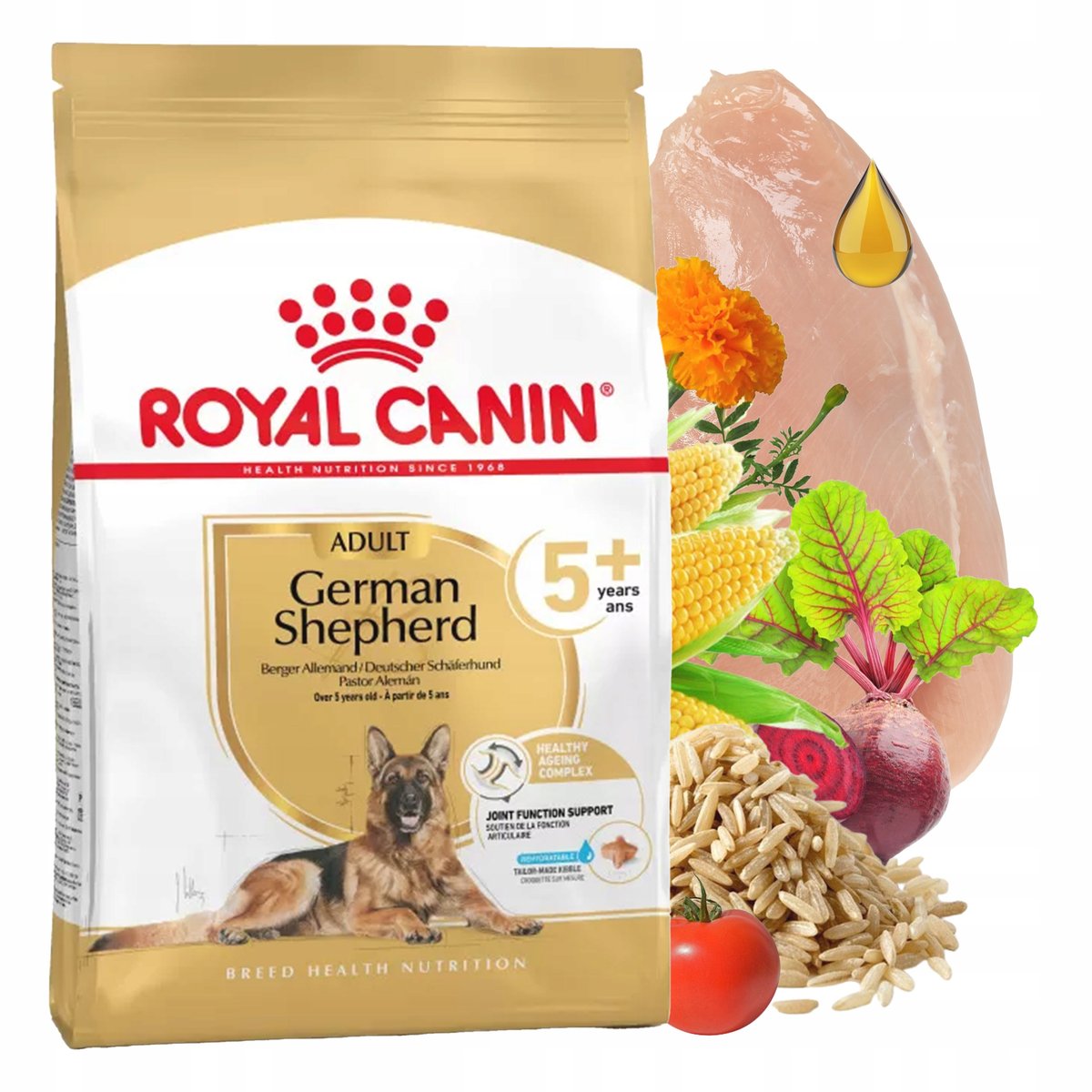 Royal Canin German Shepherd Adult 5+ karma sucha dla dorosłych psów 12 ...