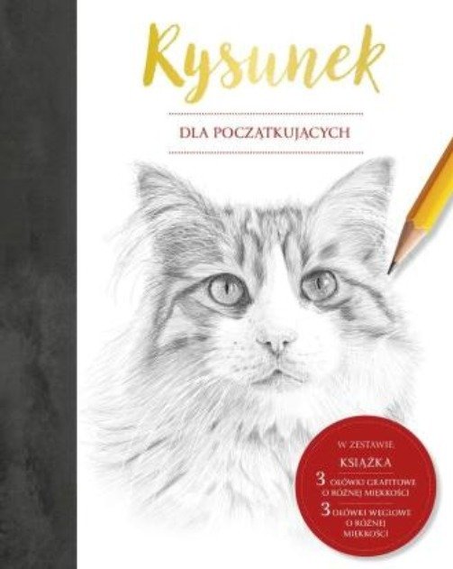 Rysunek dla początkujących - Smallman Steve | Książka w Empik