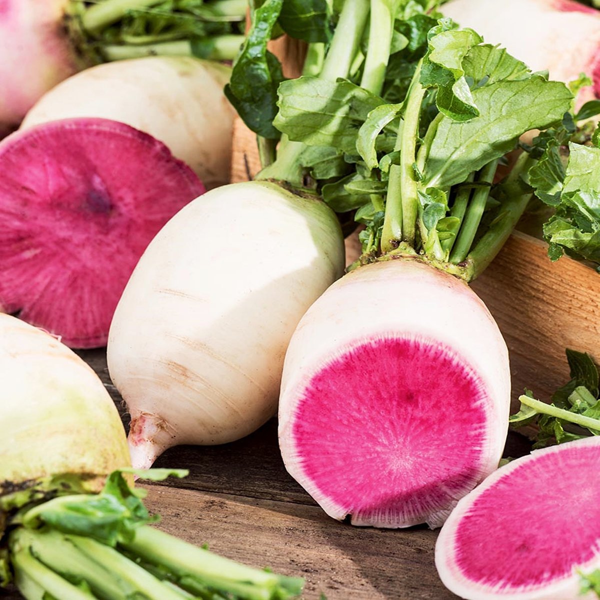 Rzodkiew RED MEAT Raphanus sativus L. var. niger - Toraf | Sklep EMPIK.COM