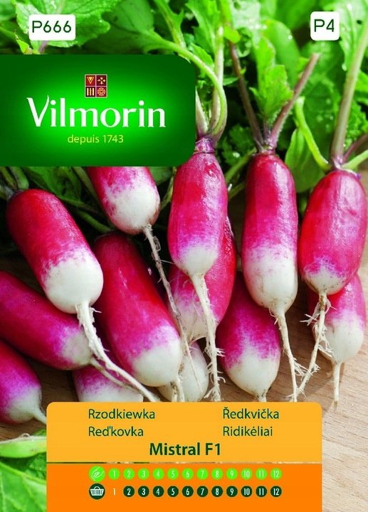 Rzodkiewka Mistral mieszaniec f DO UPRAWY CAŁY ROK - Vilmorin | Sklep ...