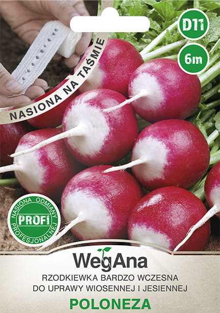 Rzodkiewka Poloneza nasiona na taśmie 6 m - WegAna - WegAna | Sklep ...
