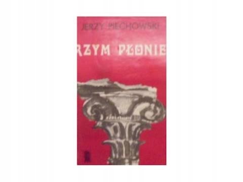 Rzym płonie - Piechowski Jerzy | Książka w Empik