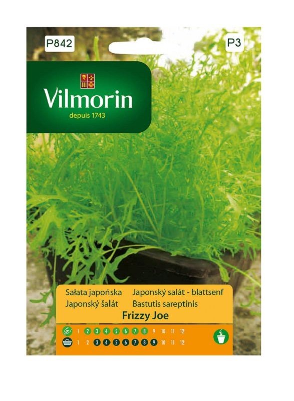 Sałata japońska Frizzy Joe 0,5 g Vilmorin - Inna marka | Sklep EMPIK.COM