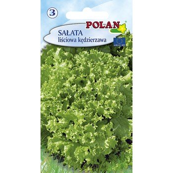 Sałata Kędzierzawa Polan - Polan | Sklep EMPIK.COM