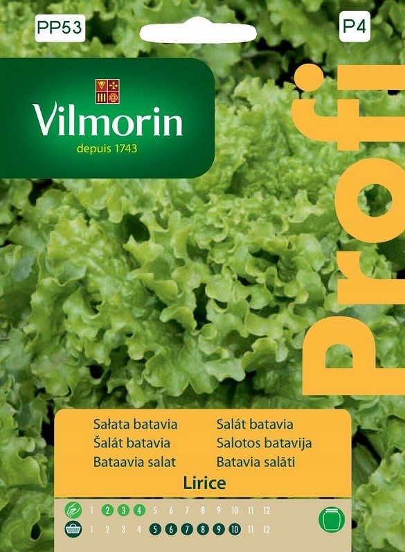 Sałata Lirice typ Batavia 0,5 g Vilmorin - Vilmorin | Sklep EMPIK.COM