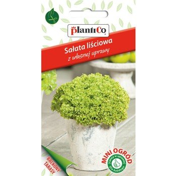 Sałata, Liściowa Zielona - PlantiCo | Sklep EMPIK.COM