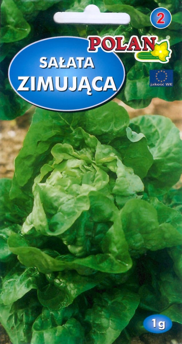 Sałata Zina 1 g POLAN - Inna marka | Sklep EMPIK.COM