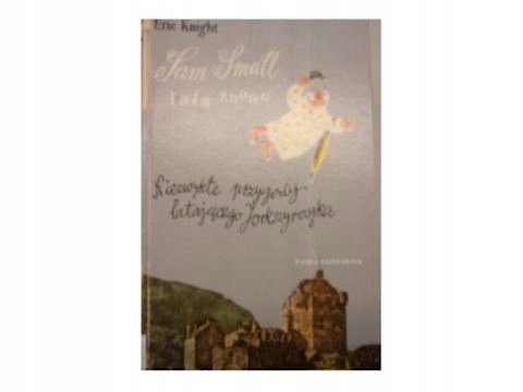 Sam Small lata znowu - Renee Knight | Książka w Empik