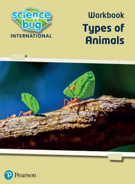 Science Bug: Types of animals Workbook - Herridge Deborah | Książka w Empik