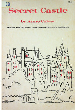 Secret Castle - | Książka w Empik