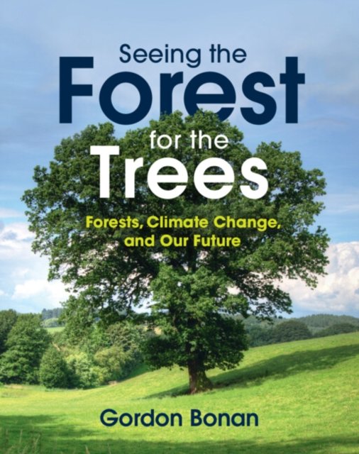 Seeing the Forest for the Trees: Forests, Climate Change, and Our Future - Opracowanie zbiorowe ...