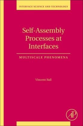 Self-Assembly Processes at Interfaces - Academic Press | Książka w Empik
