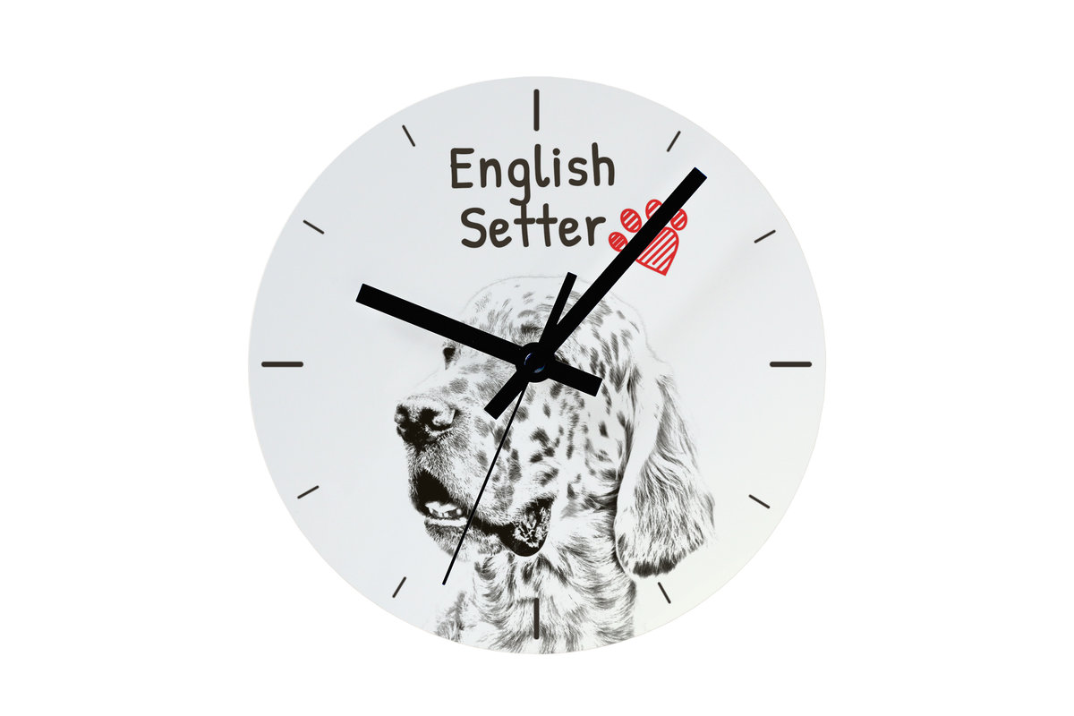 Seter angielski, Laverack - zegar ścienny z psem, zegarek na półkę z ...