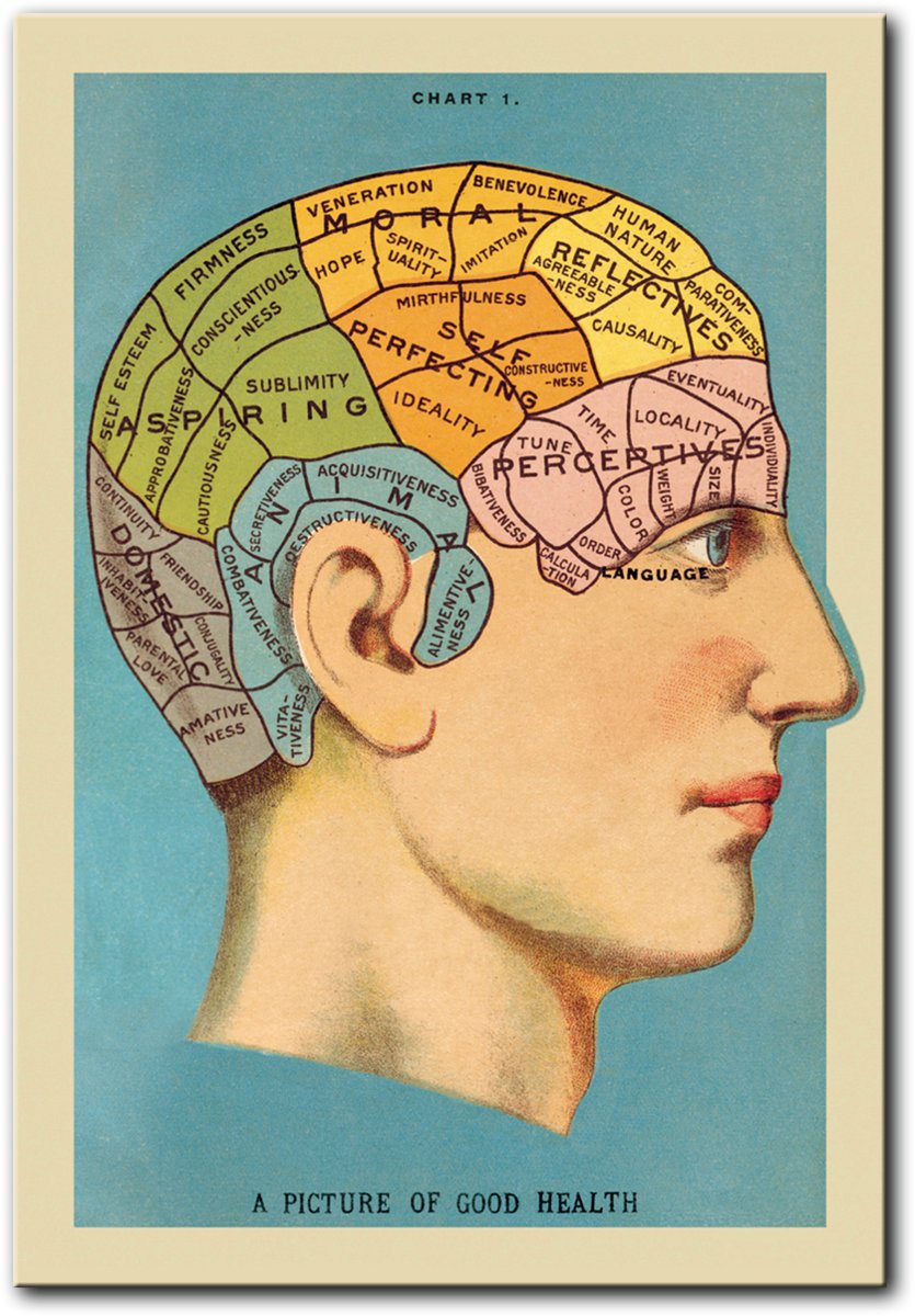 Sfery mózgu, obraz vintage mózg - PR02417 - PRINTORAMA | Sklep EMPIK.COM