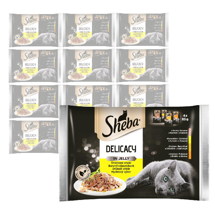 Sheba Saszetka 52 Szt. Delicacy in Jelly Smaki Drobiowe Mokra Karma Dla ...
