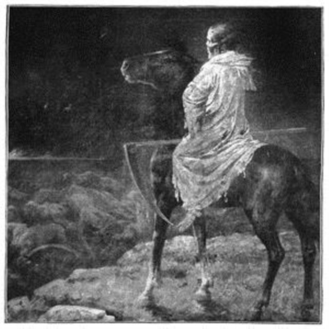 Sheidim - Sheidim | Muzyka Sklep EMPIK.COM