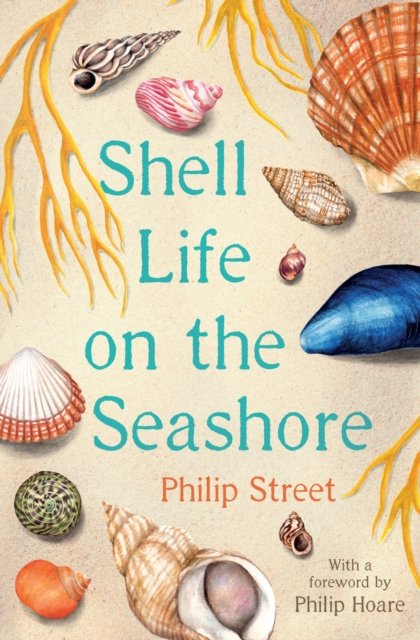 Shell Life on the Seashore - Philip Street | Książka w Empik