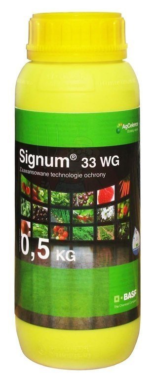 Signum 33 WG 0,5 kg basf - BASF | Sklep EMPIK.COM
