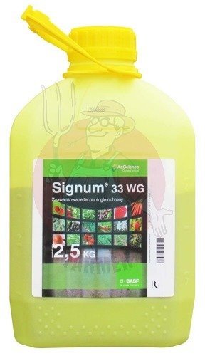 SIGNUM 33 WG 2,5 KG FUNGICYD NA OWOCE WARZYWA DRZEWKA OZDOBNE ...