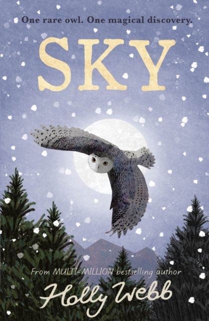 Sky - Webb Holly | Książka w Empik