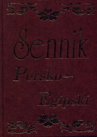 SL ANG POL ANG 1 - Mizgalski Emil | Książka w Empik