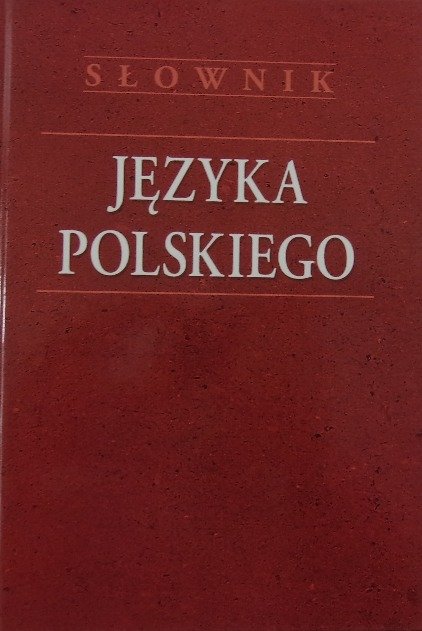 Słownik Języka Polskiego - W opisie | Książka w Empik
