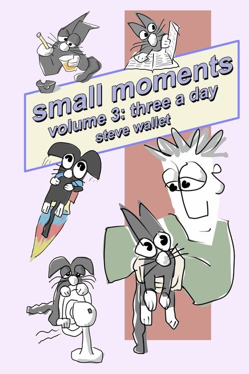 Small Moments, Volume 3 - Wallet Steve | Książka w Empik