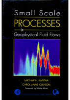Small Scale Processes in Geophysical Fluid Flows - | Książka w Empik