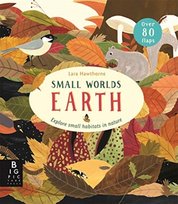 Small Worlds: Earth - Camilla De La Bedoyere | Książka w Empik