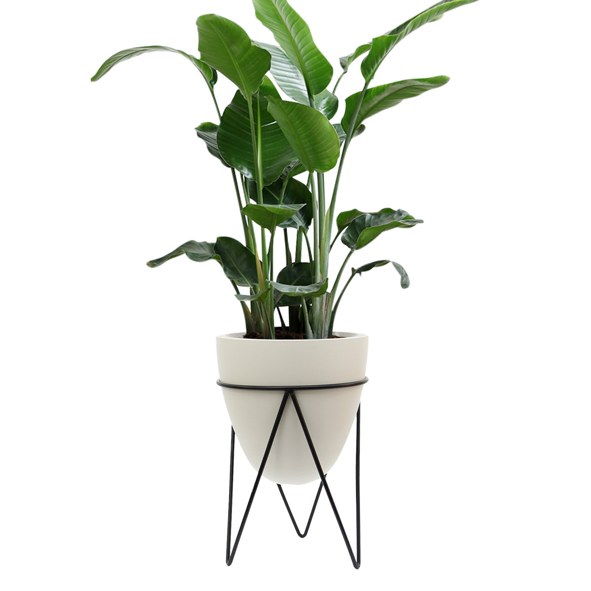 Smart Indoor Plant Pots with Automatic Water Shortage Alarm, Battery ...