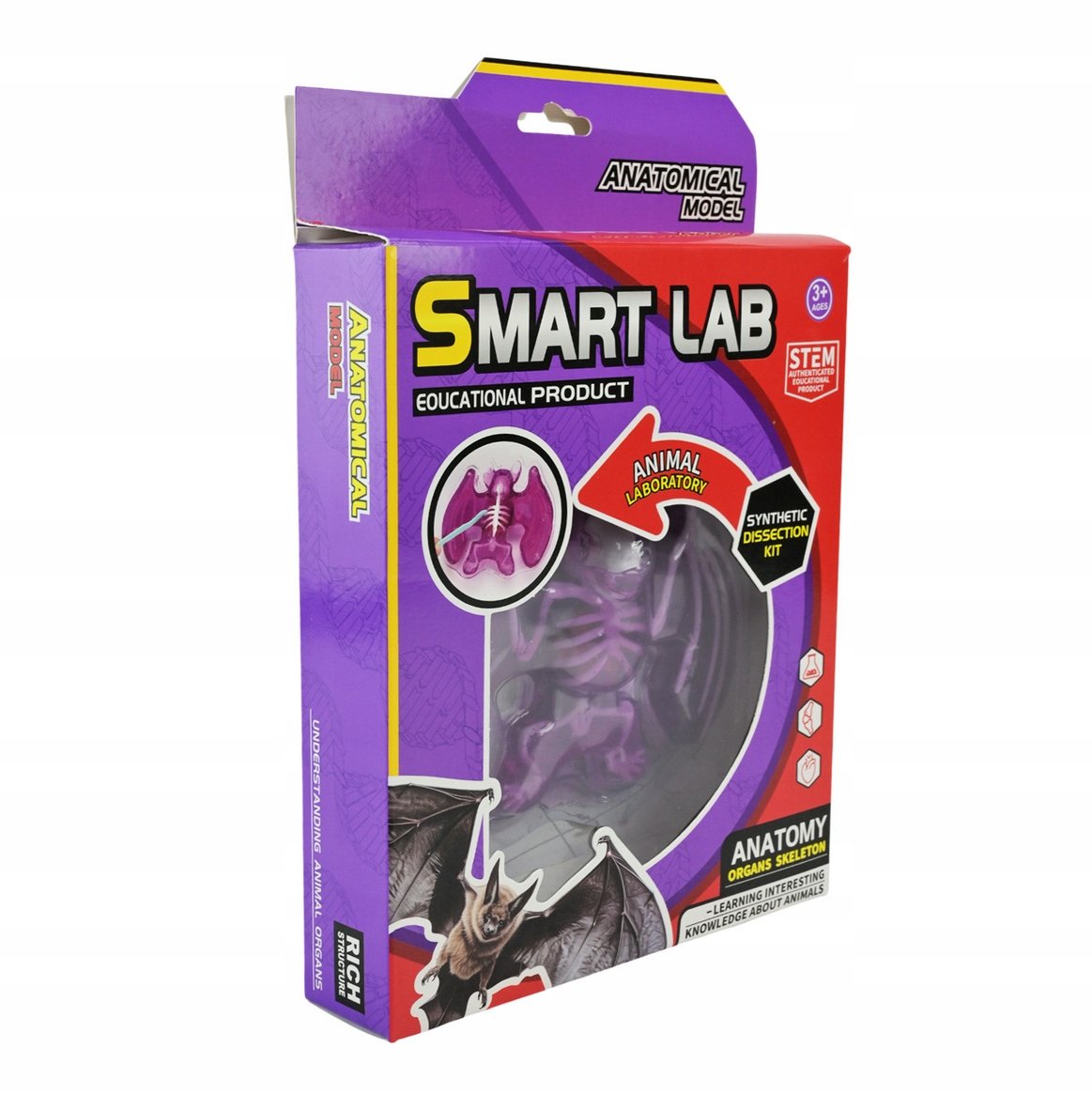 Smart Lab - Anatomia Nietoperza - Zestaw Edukacyjny - QBI | Sklep EMPIK.COM